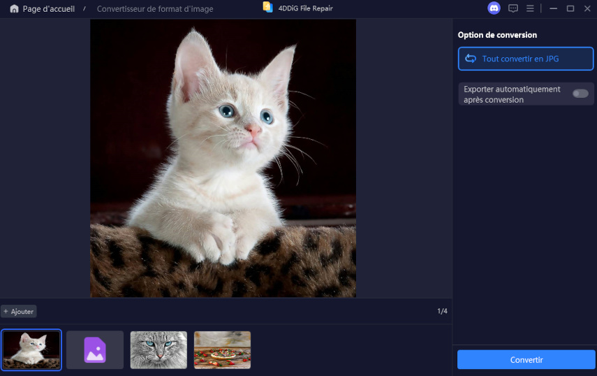 Convertir BMP en JPG : 5 méthodes simples et gratuites \Guide 2025\